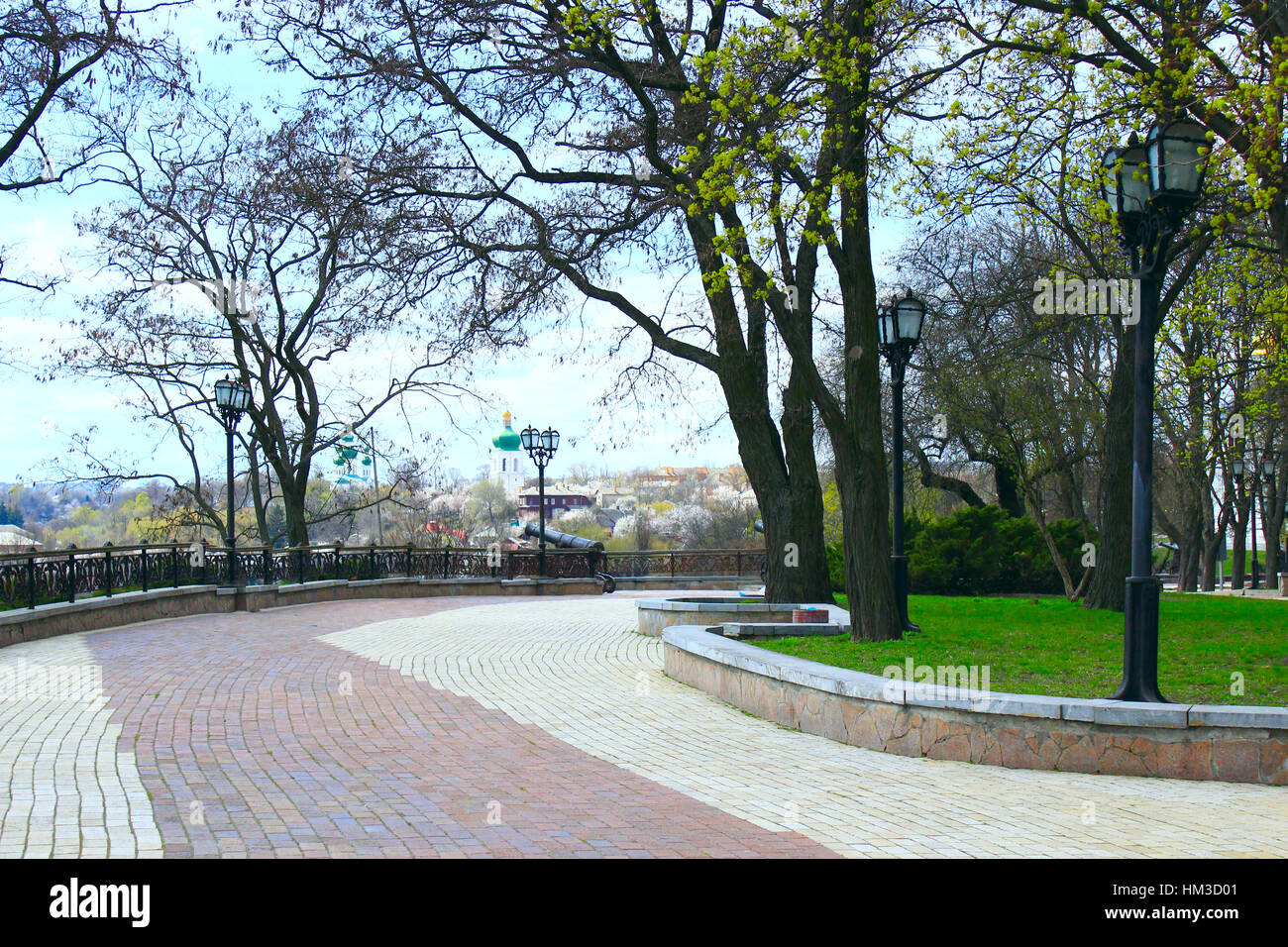 wide footpath in the park with big green trees Stock Photo - Alamy