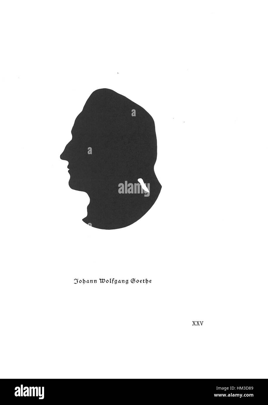 This painting reflects the collaboration between Johann Wolfgang von ...