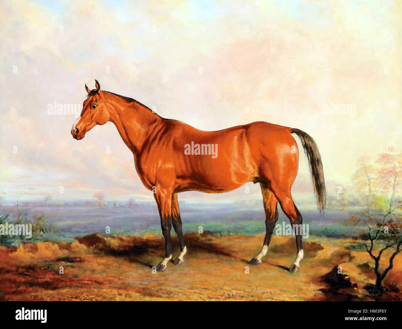 Lexington racehorse hi-res stock photography and images - Alamy