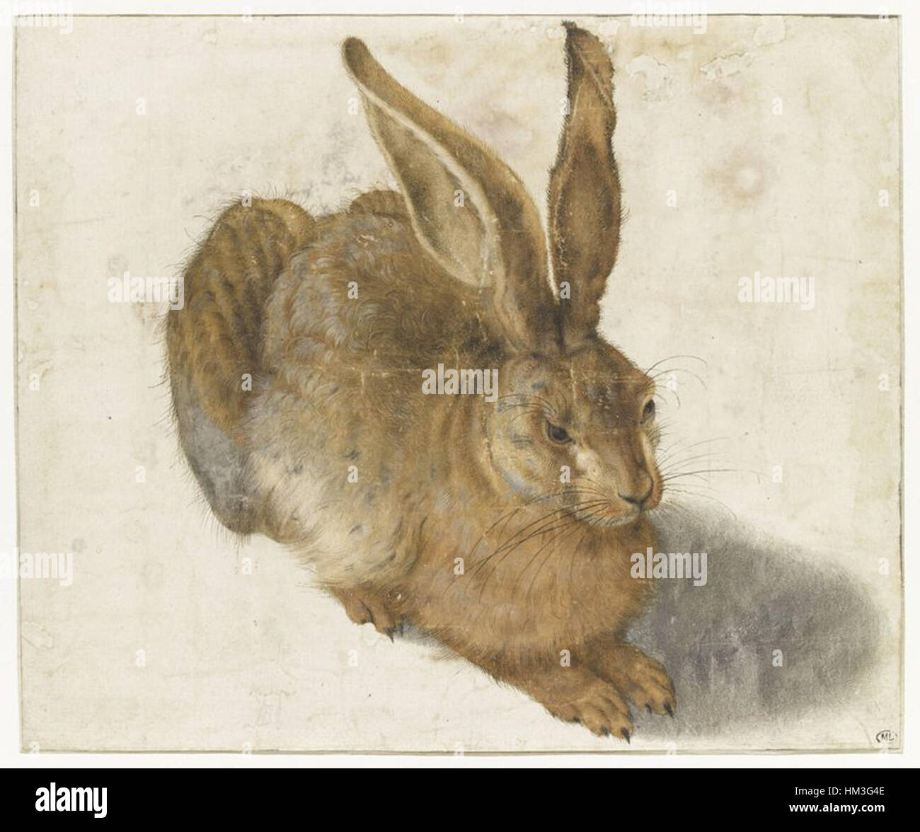 'Copy of the Hare by Dürer' by Hoefnagel is a detailed engraving ...