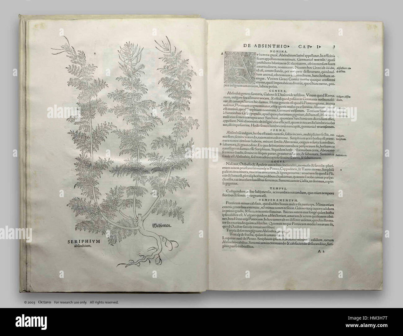 Leonhart Fuchs Historia Stirpium Stock Photo - Alamy