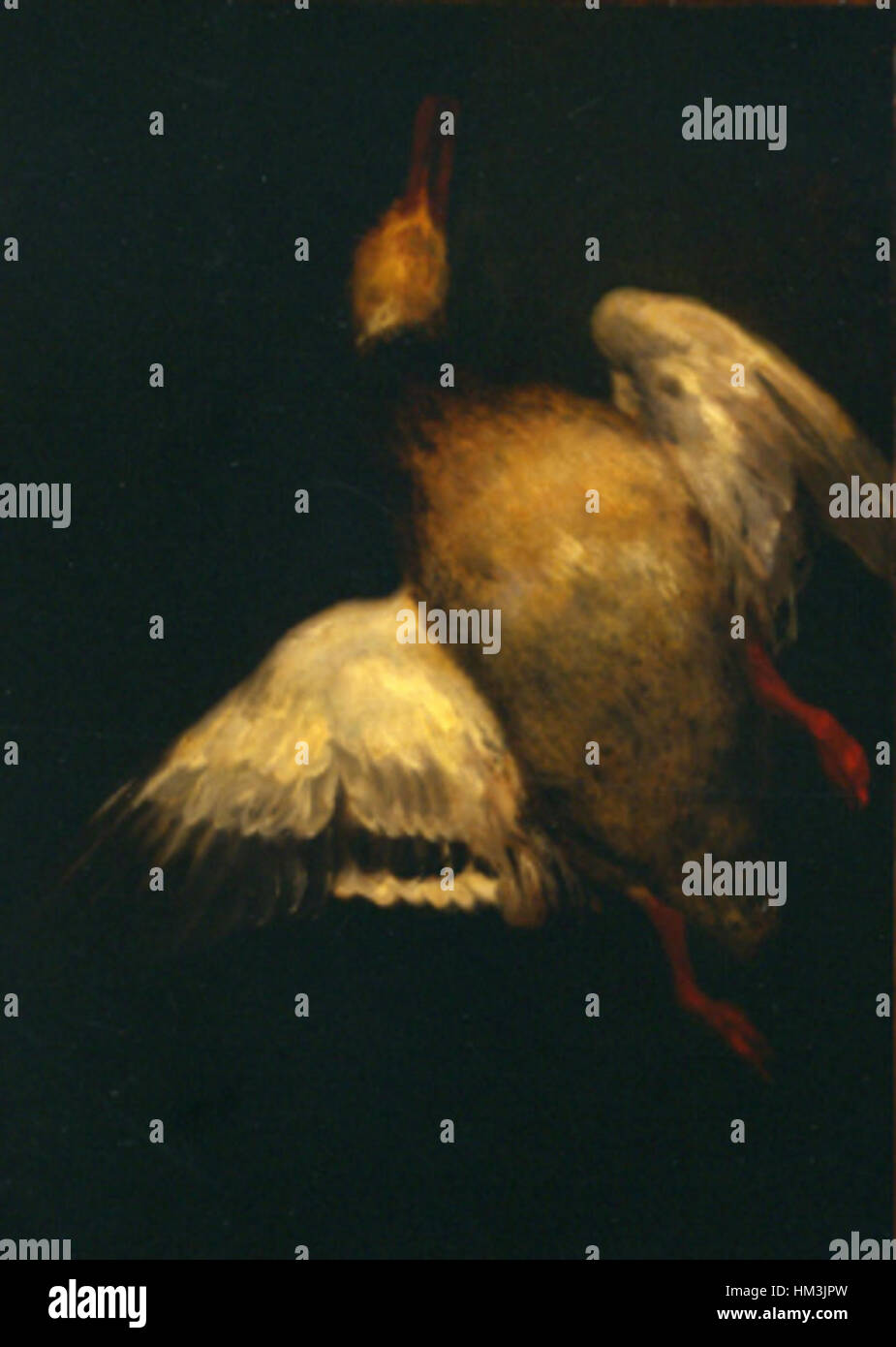 Goya Pato muerto Stock Photo - Alamy