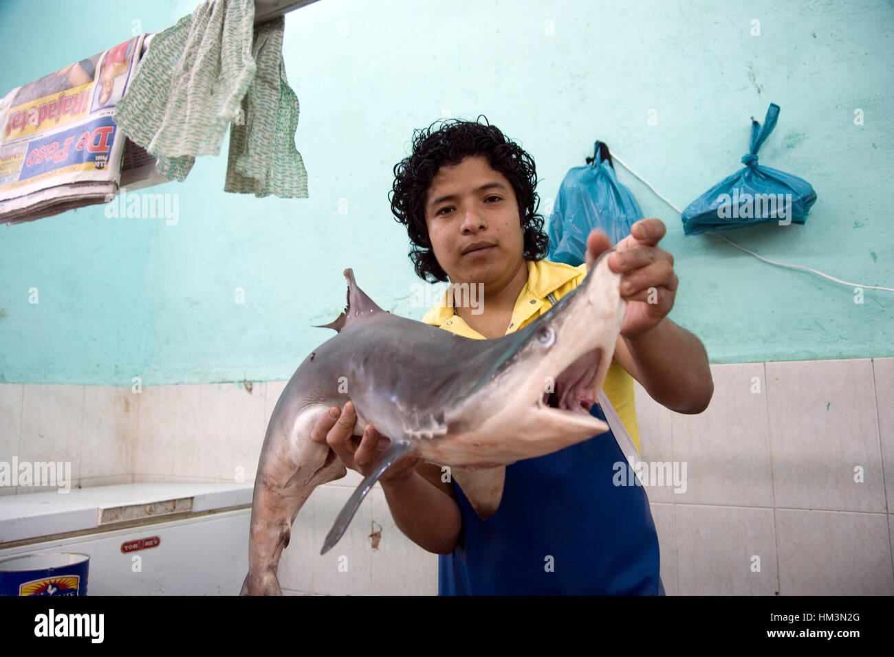 Market traders holds fish at Merida Market, Yucatan, Merida Stock Photo ...