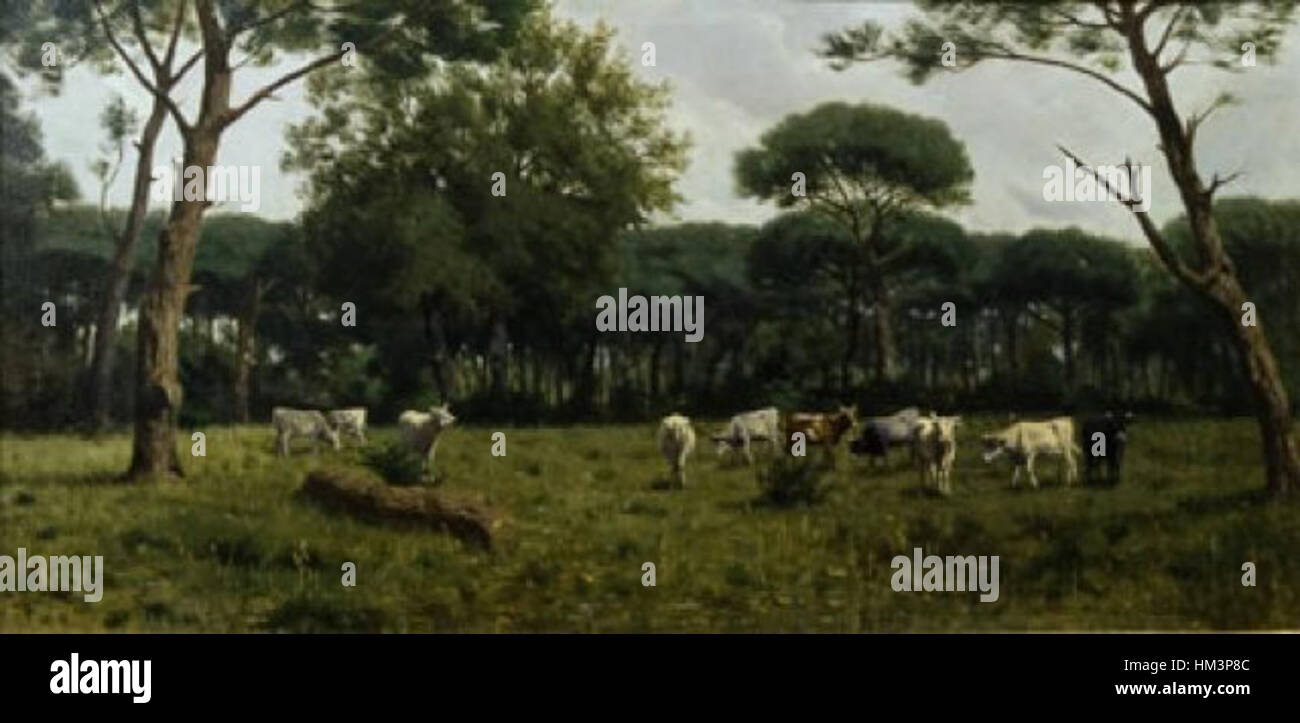 Giuseppe Benassai - Una pineta a San Rossore Stock Photo - Alamy