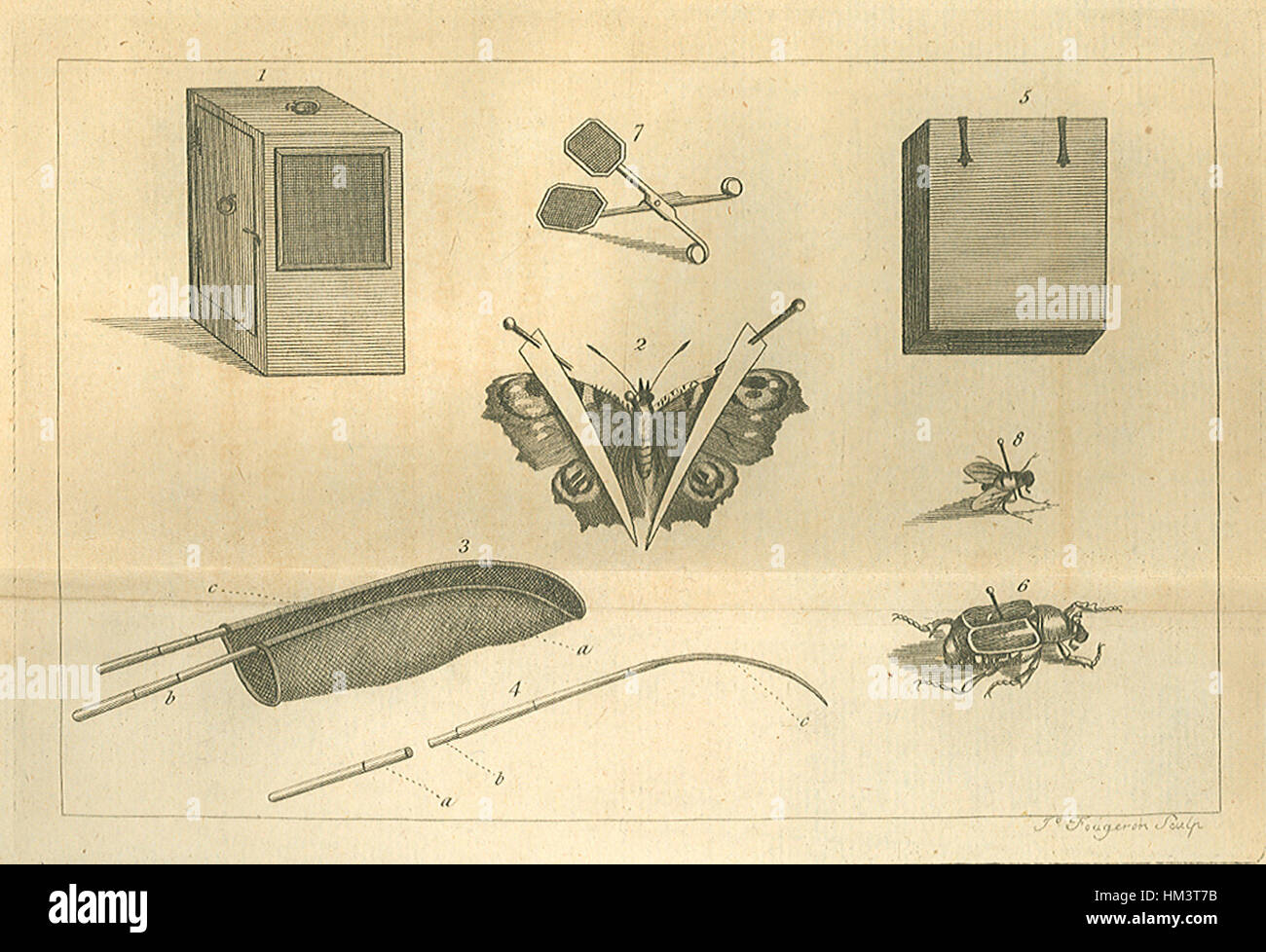 A guide detailing the proper techniques for collecting, preserving, and ...