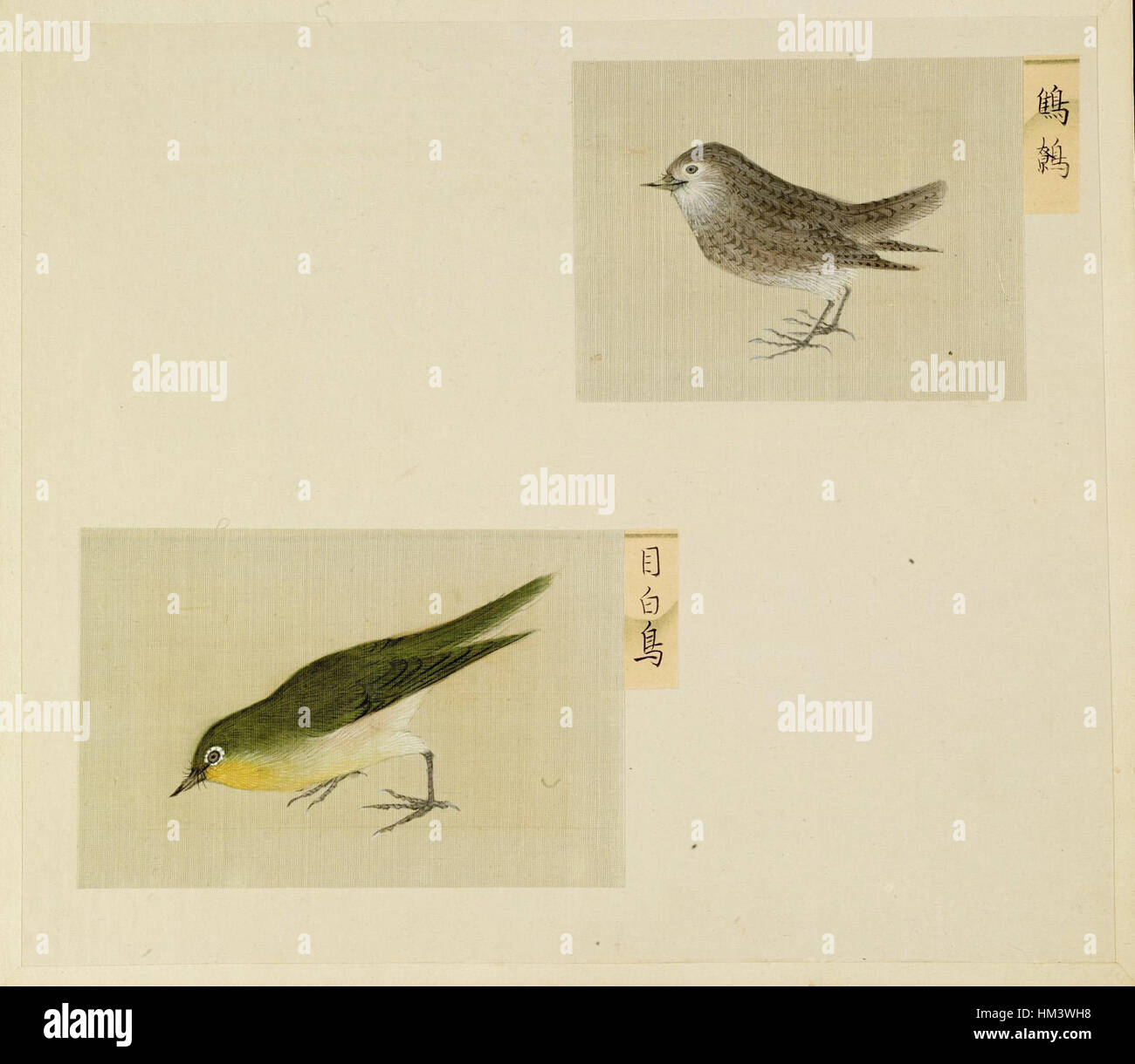 Image from a Japanese album featuring an illustration of small birds ...