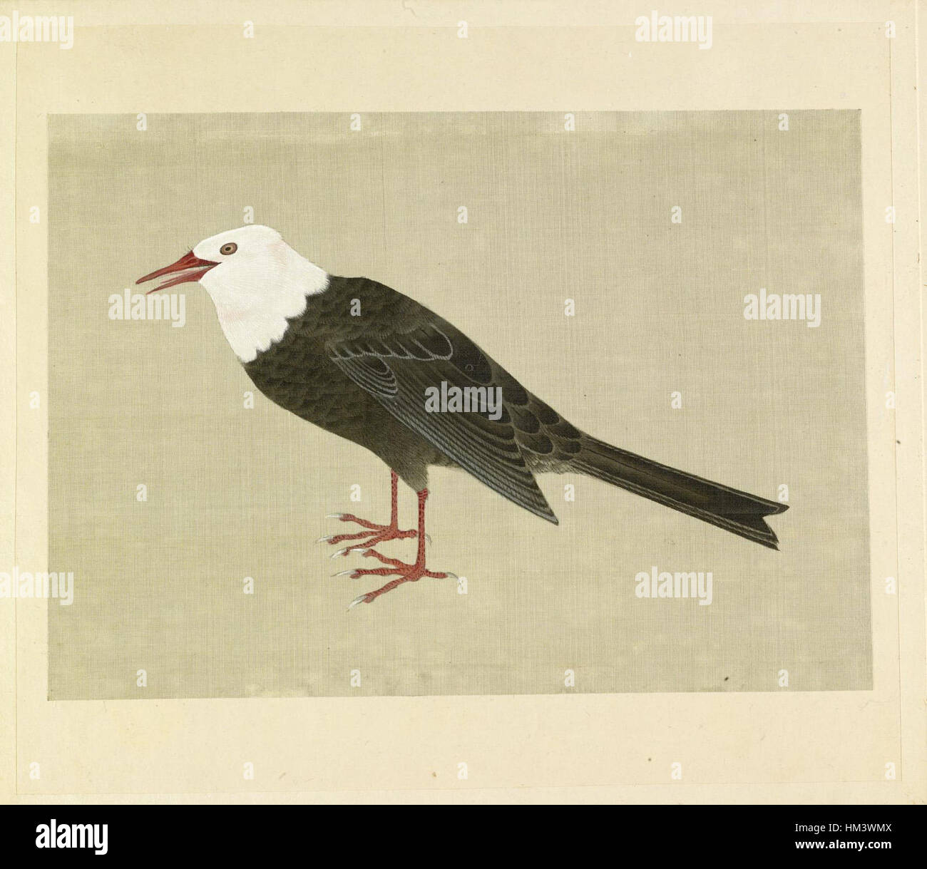 Image from a Japanese album leaf depicting small birds, showcasing ...