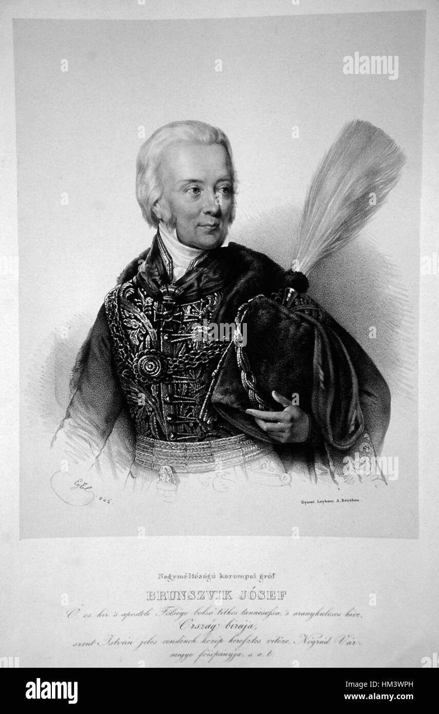 Lithograph by Josef Brunswik, showcasing artistic work, likely ...
