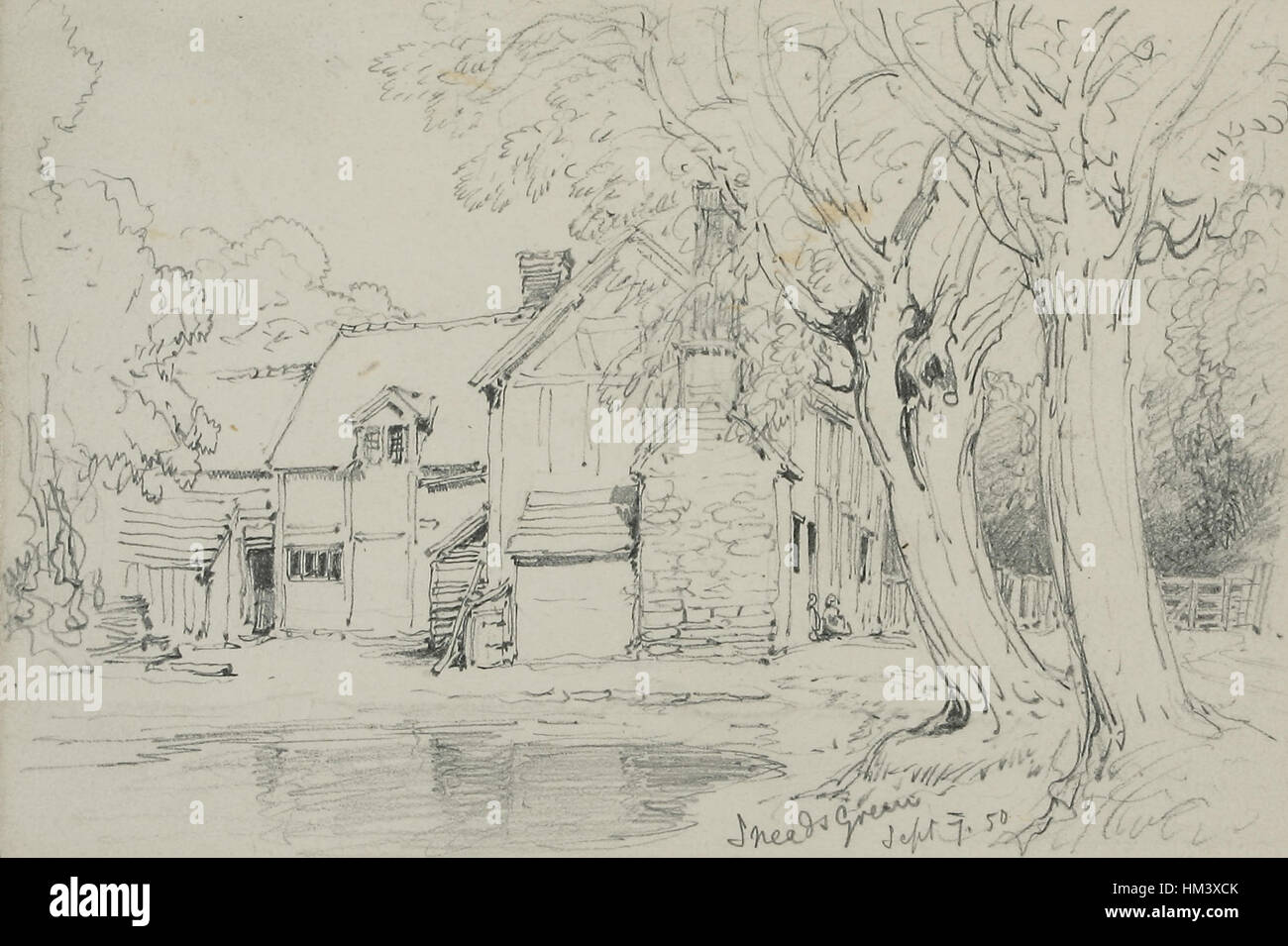 Image from the Lines family sketchbook, featuring an artistic depiction ...