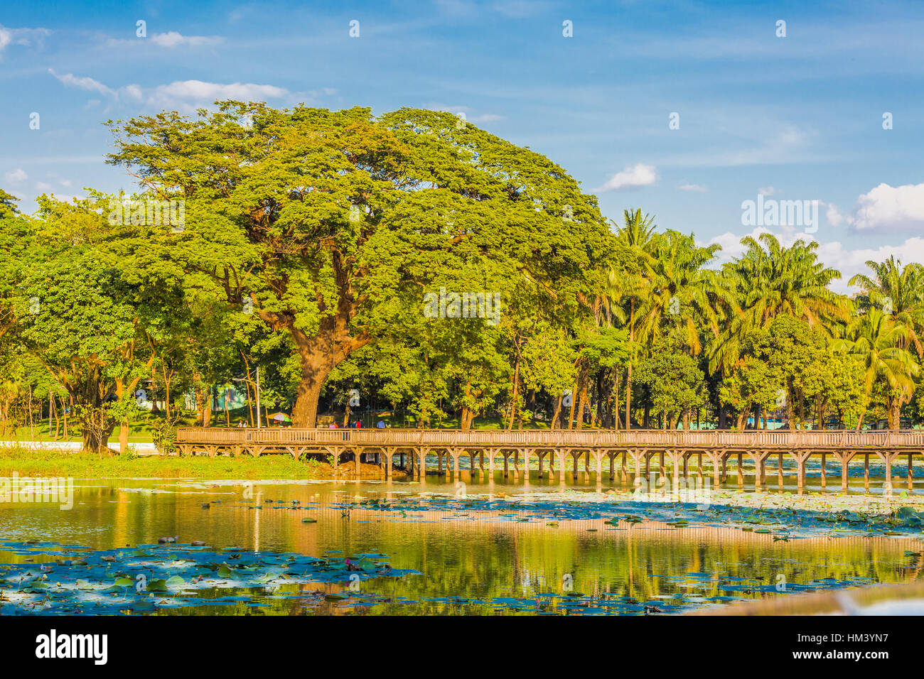 Kandawgyi Lake at Yangon (Rangoon) in Myanmar (Burma Stock Photo - Alamy
