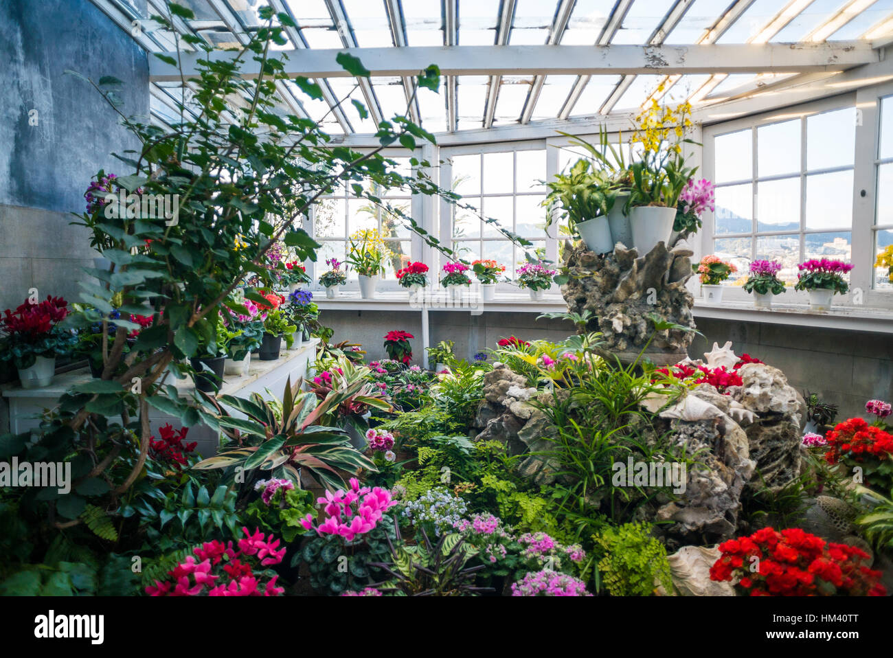 A flower bed in a conservatory inside Clover Garden, Nagasaki, Japan ...