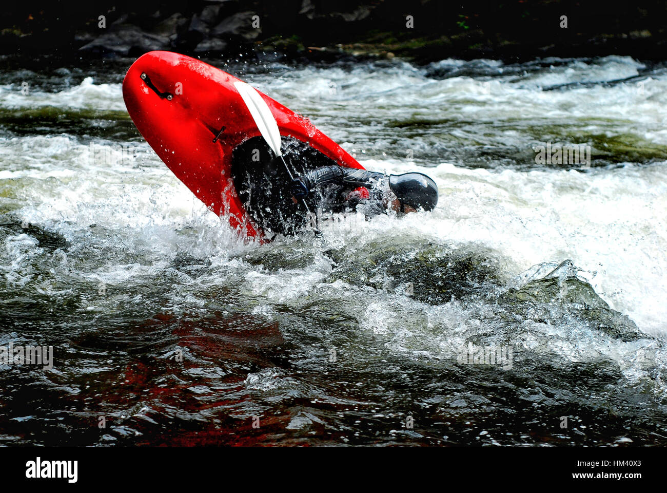A whitewater kayaker rolls up after capsizing in fast flowing water in ...