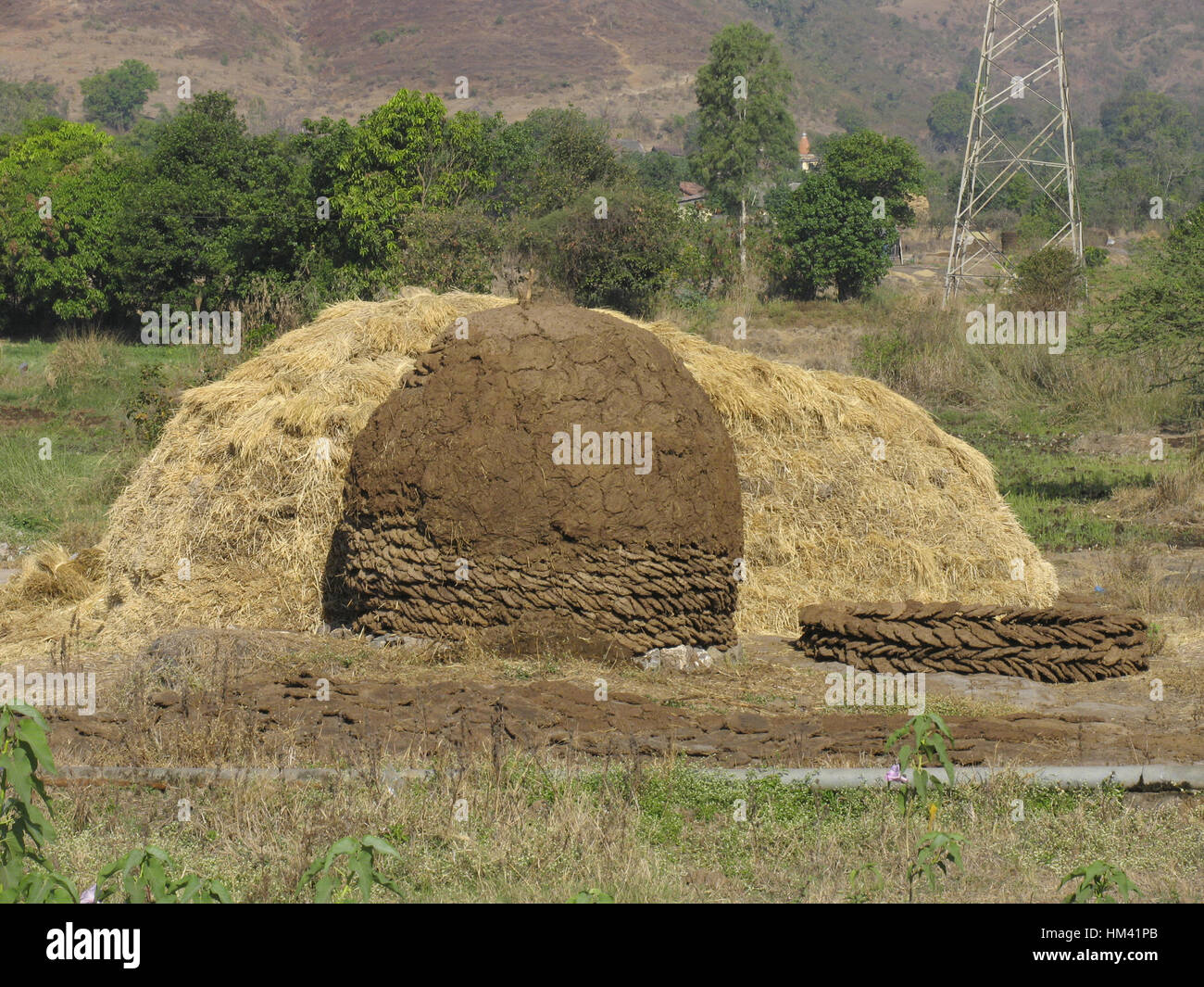 Dry cow dung cakes stocked to use as fuel for cooking. Rural ...