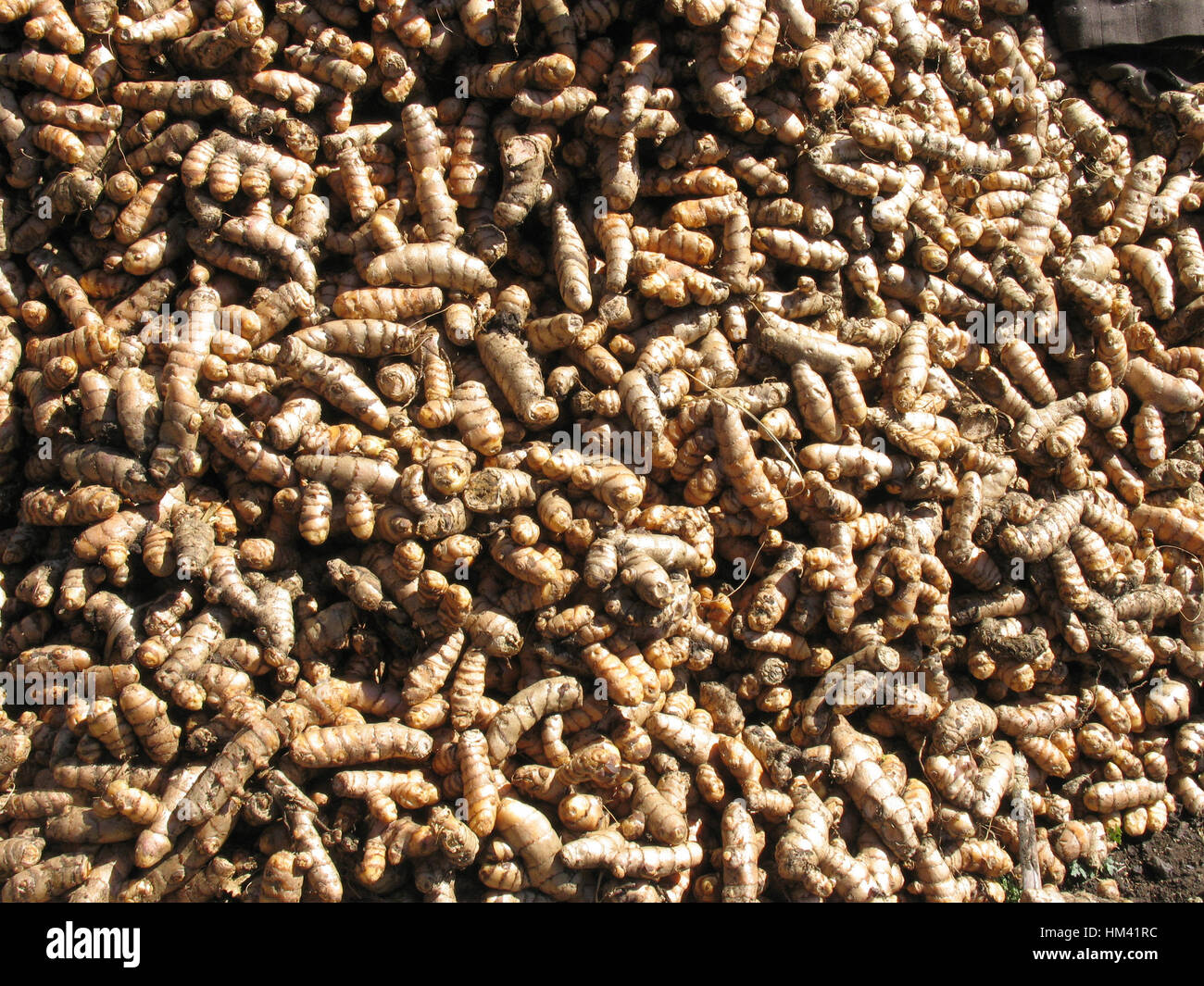 Curcumin india hi-res stock photography and images - Alamy