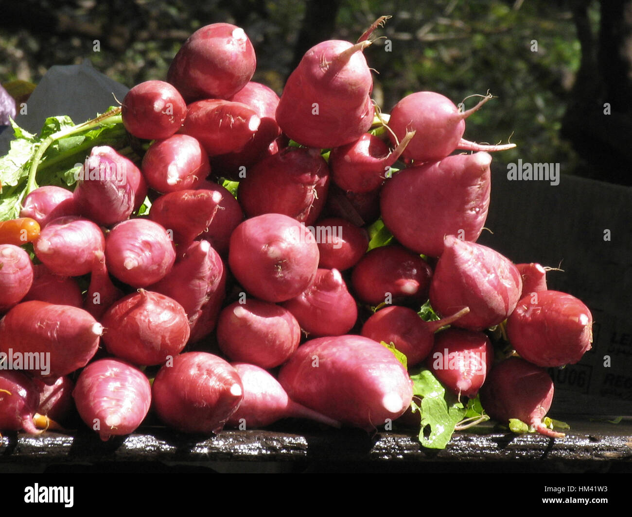 Radish vegetable for sale. Maharasthra, India. The radish is an edible ...