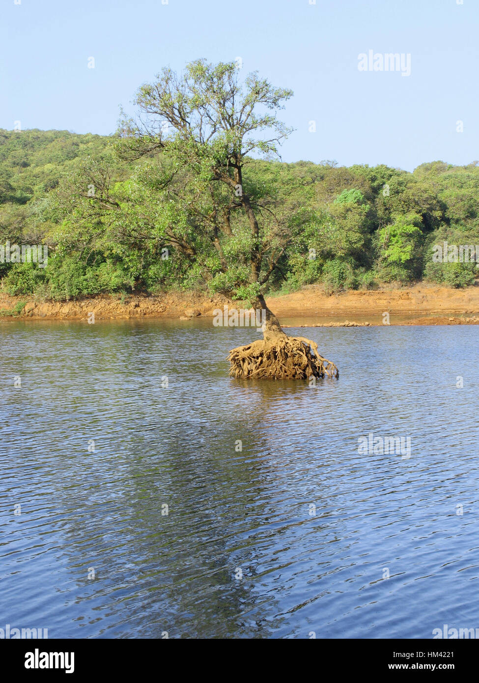 Venna lake mahabaleshwar hi-res stock photography and images - Alamy