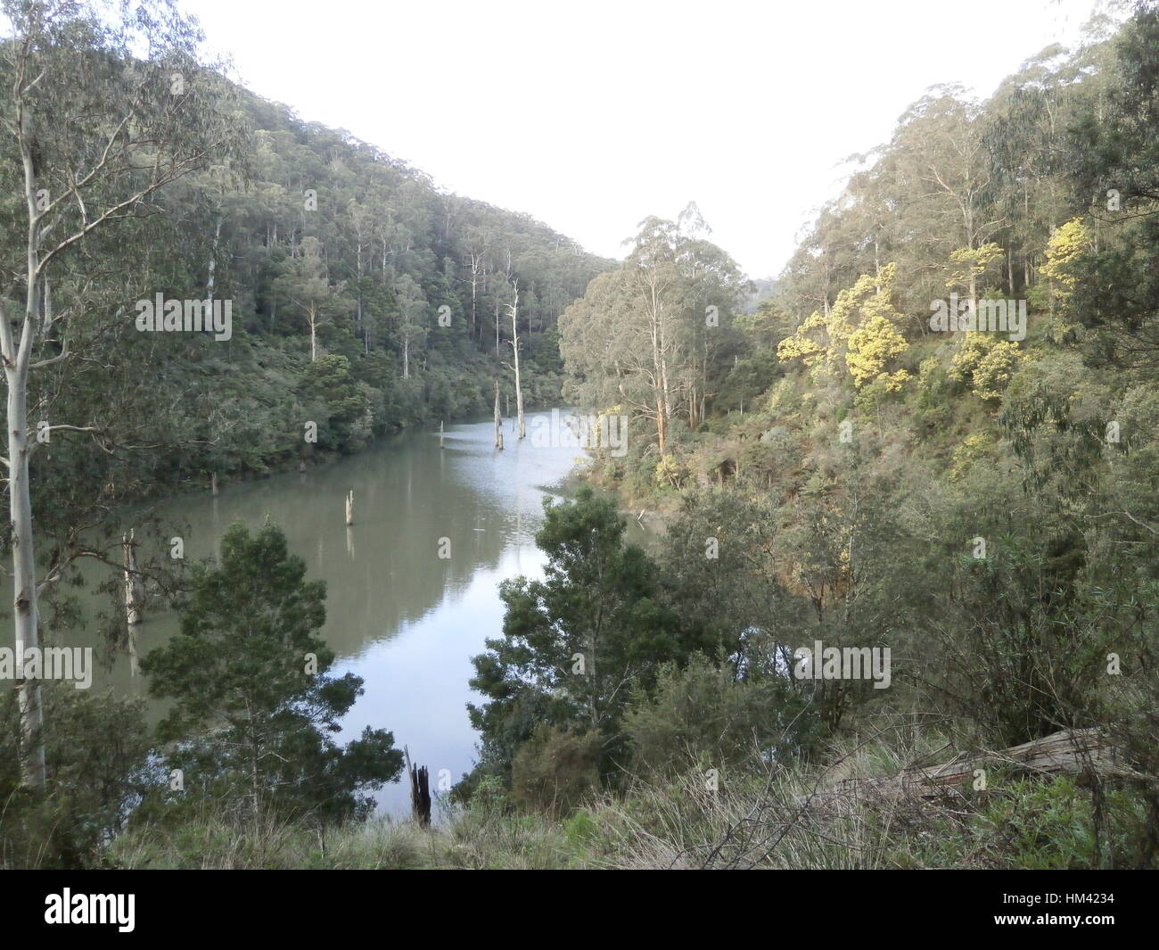 Wild rivers & waterfalls Stock Photo - Alamy