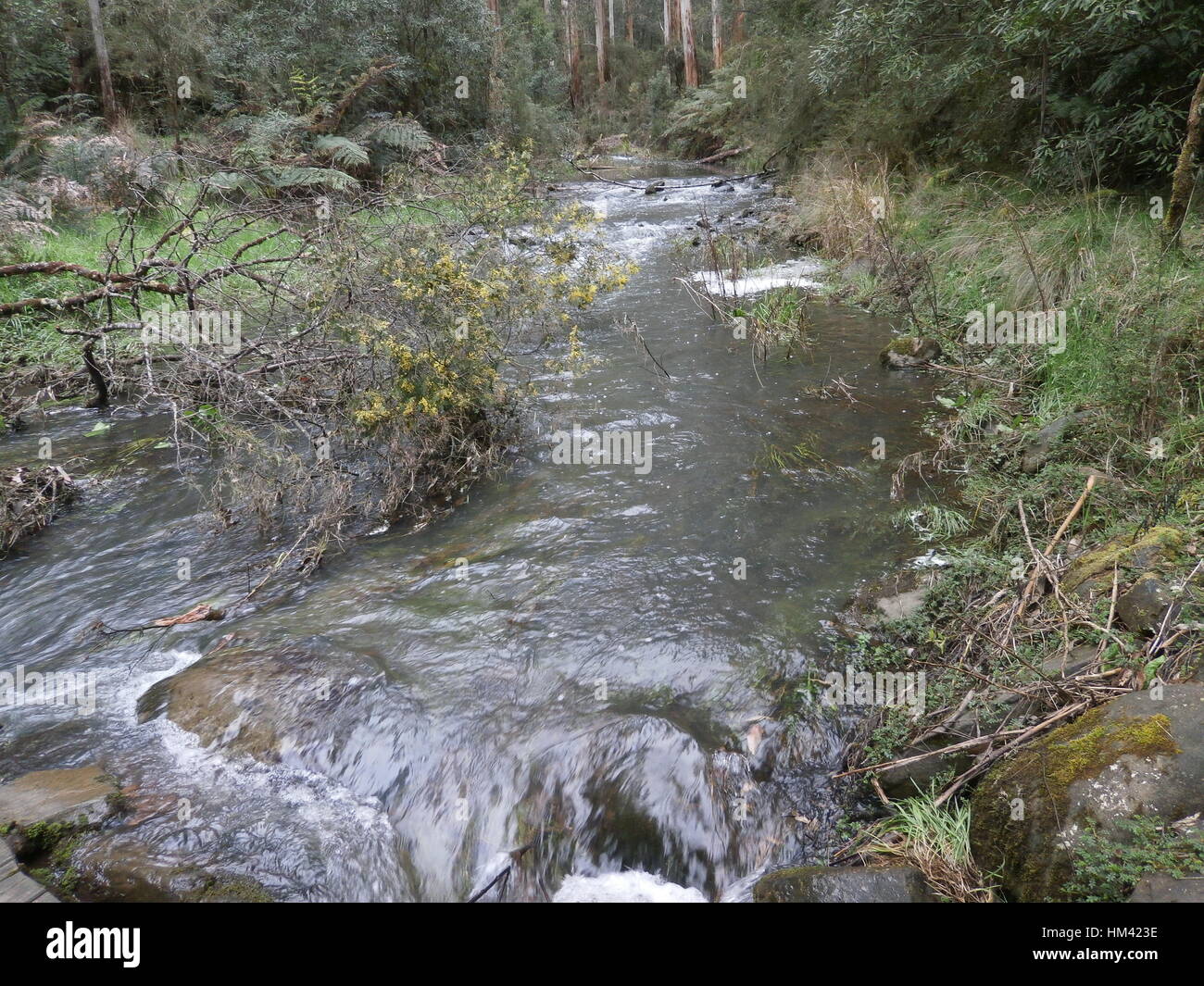 Wild rivers & waterfalls Stock Photo - Alamy