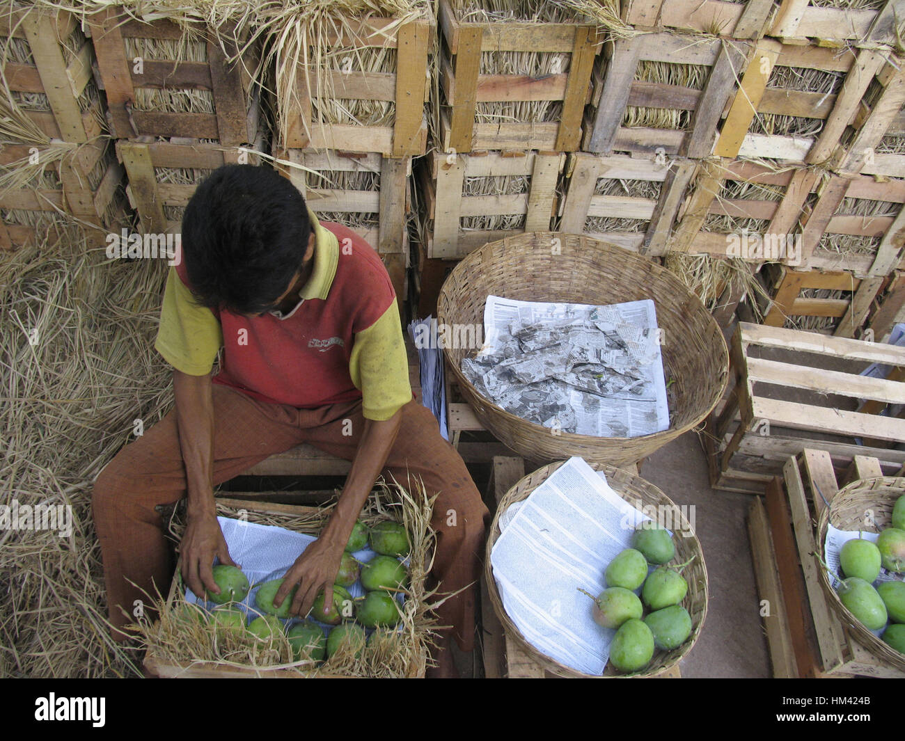 Green mango boy hi-res stock photography and images - Alamy