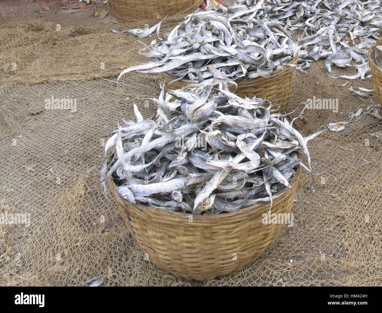 Dried fish in basket Stock Photo - Alamy