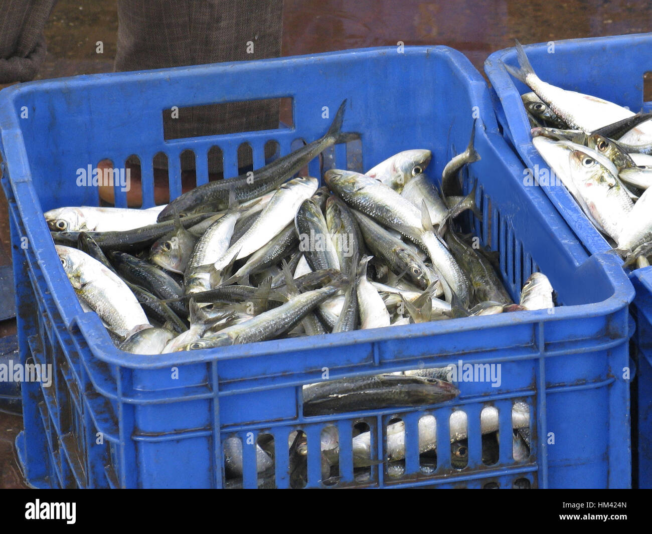 Dried fish in basket Stock Photo - Alamy
