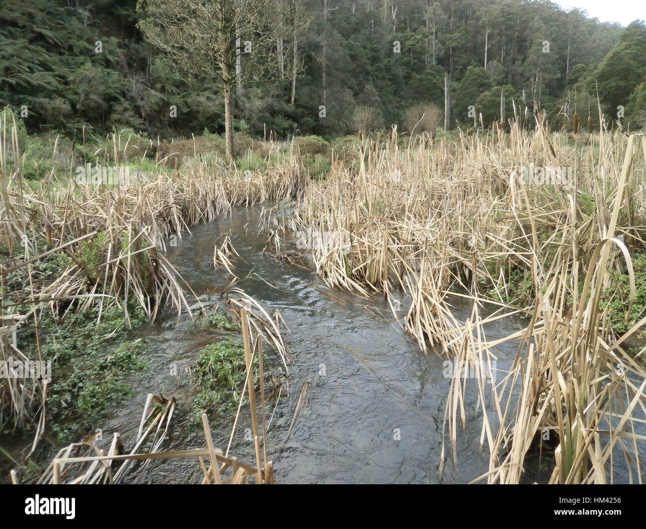 Wild rivers & waterfalls Stock Photo - Alamy