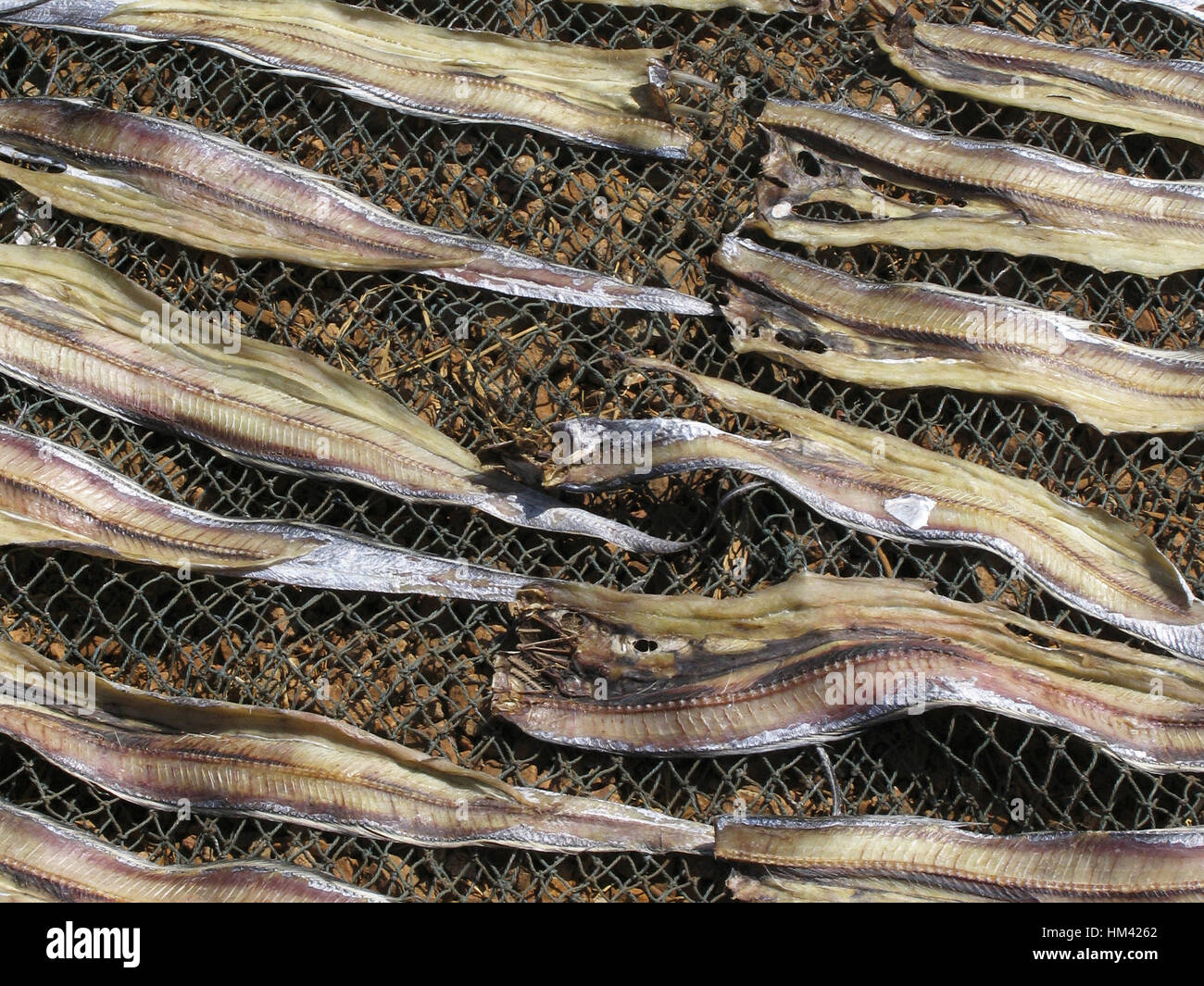 Dry fish kept on net Stock Photo - Alamy