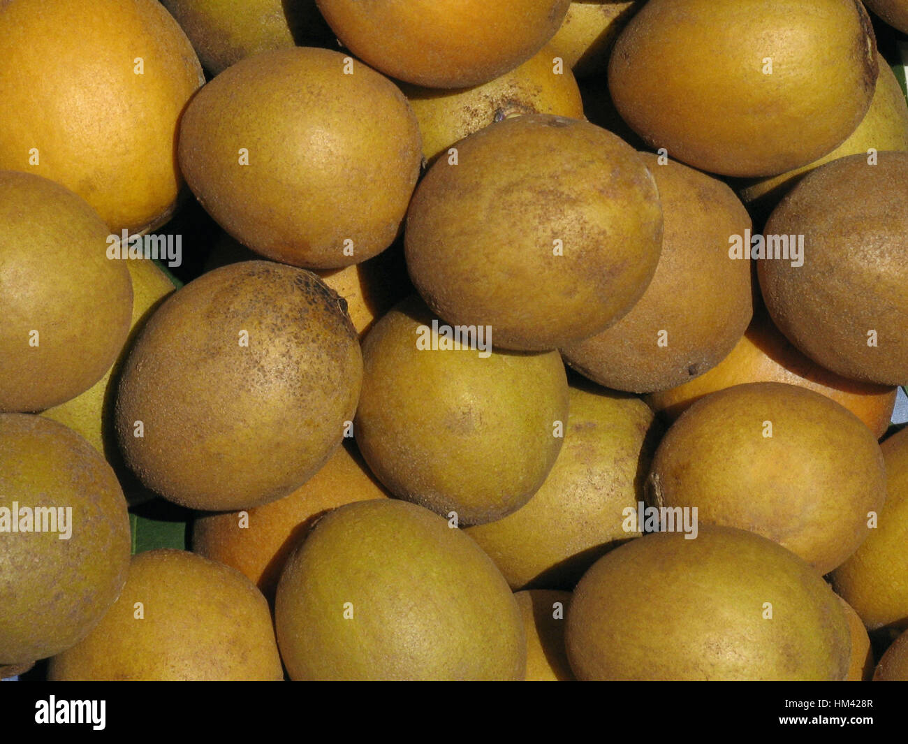 Sapodilla gum hi-res stock photography and images - Alamy