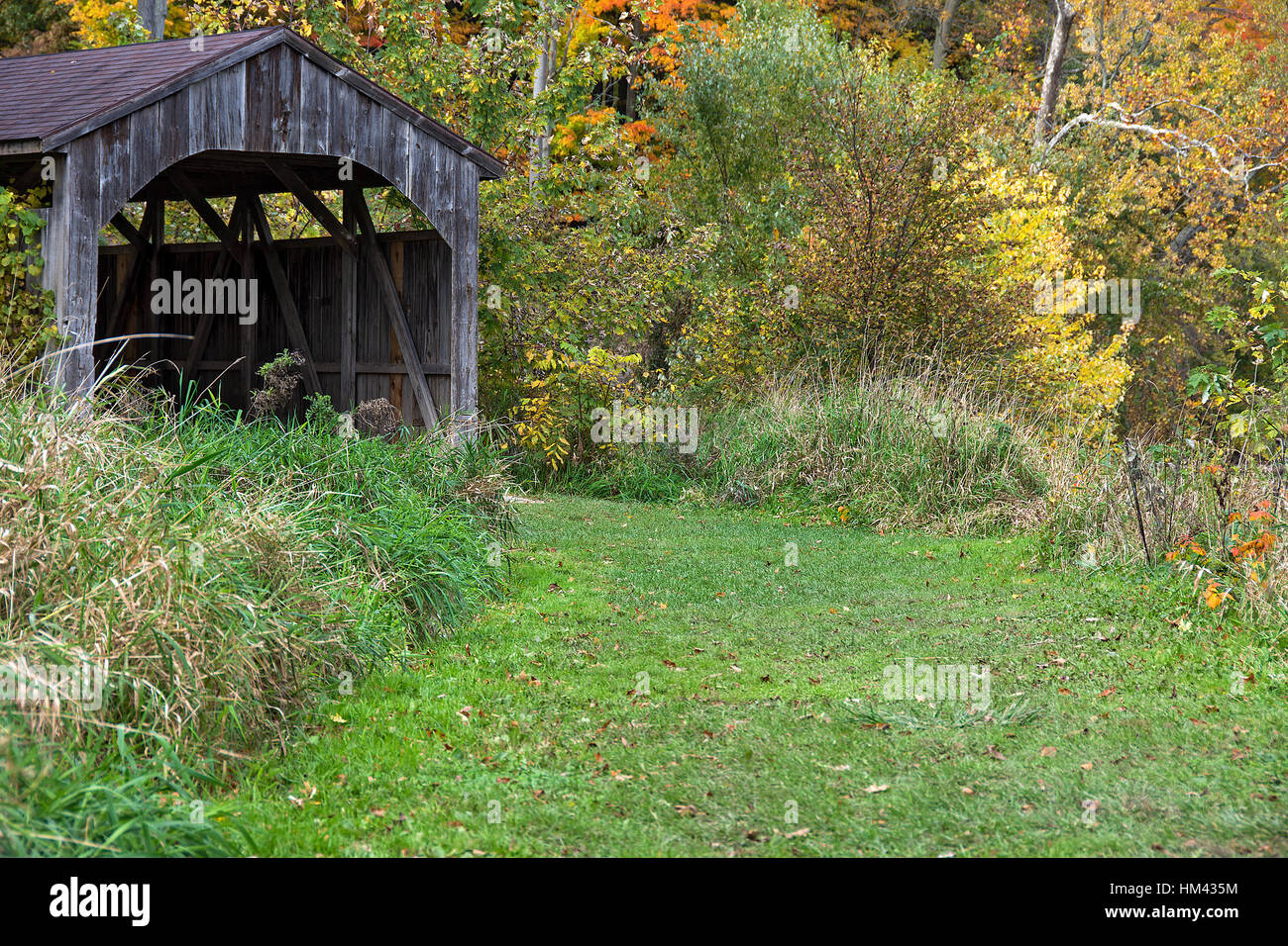 Bridge in the woods hi-res stock photography and images - Alamy