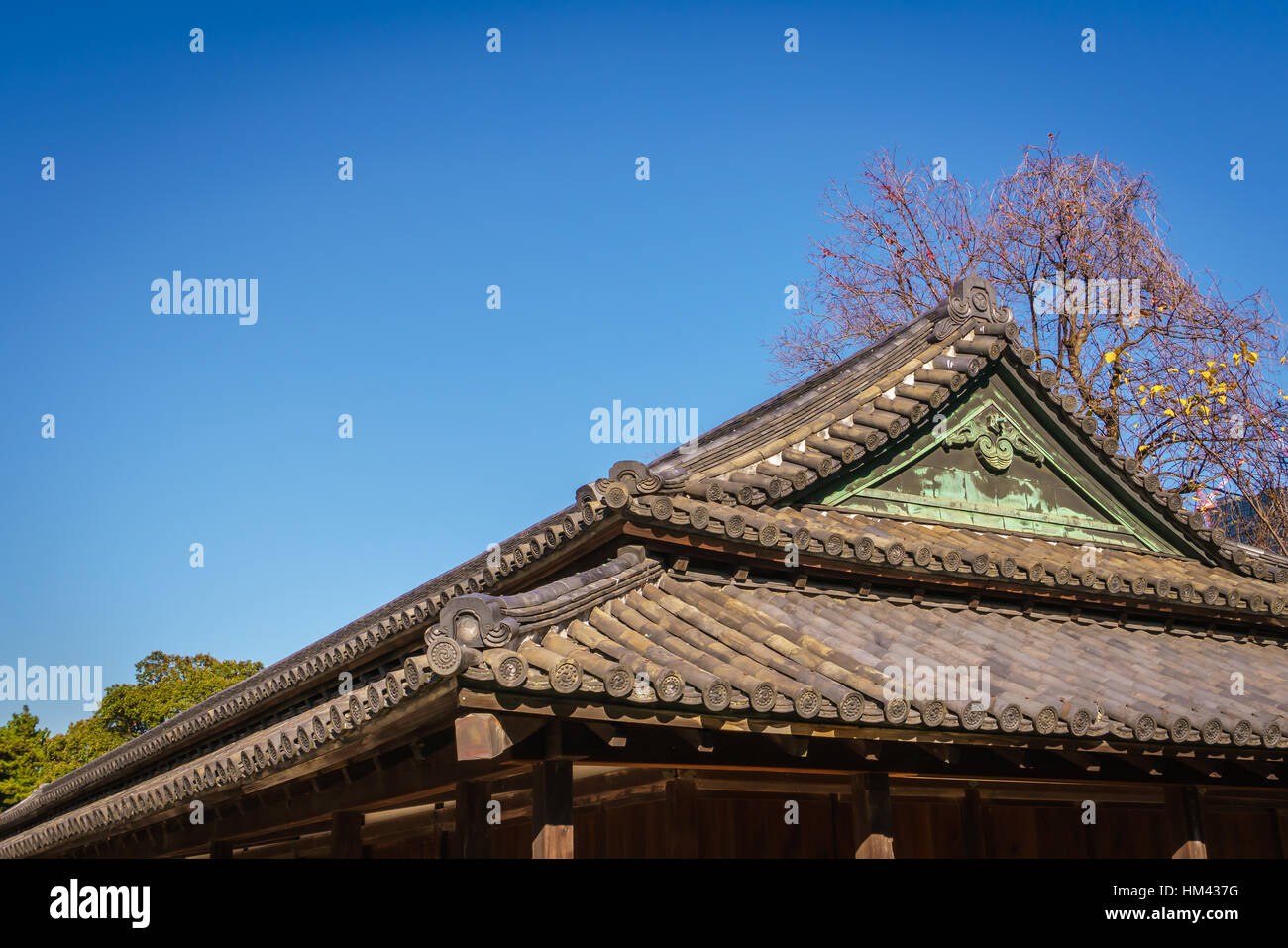 Beautiful Imperial Palace in Tokyo, japan Stock Photo - Alamy