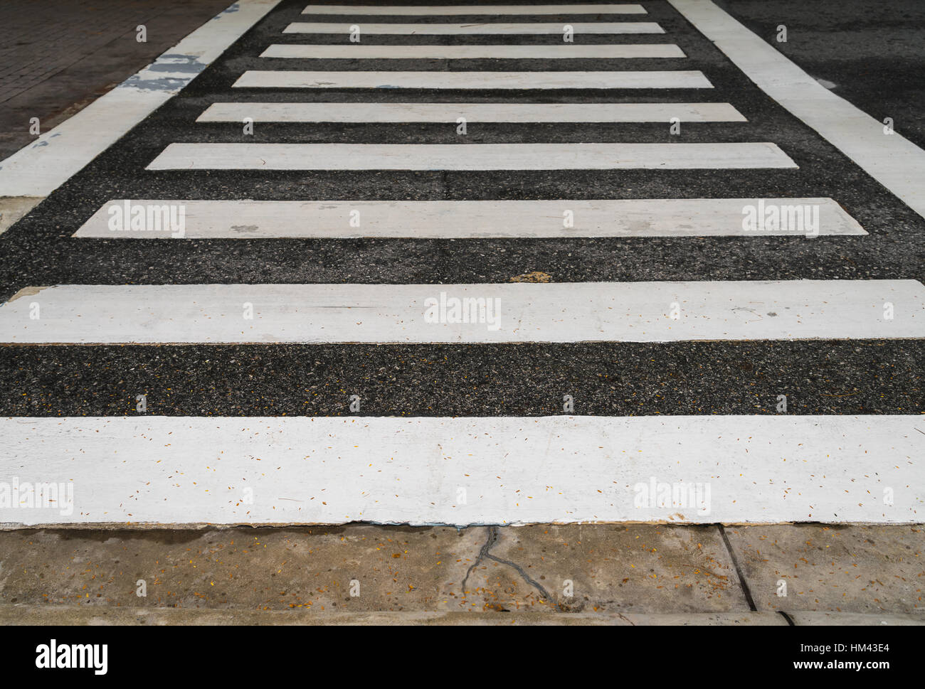 Zebra crossing road Stock Photo - Alamy