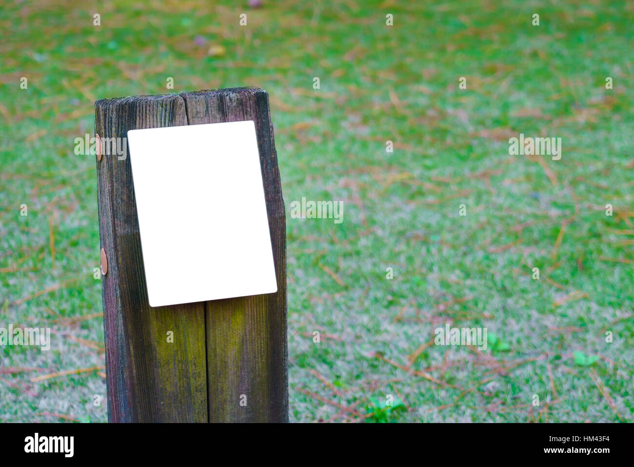 Wood sign on grass Stock Photo - Alamy