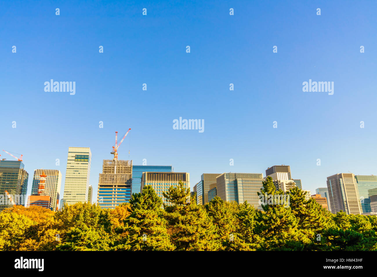 Tokyo, Japan cityscape Stock Photo - Alamy