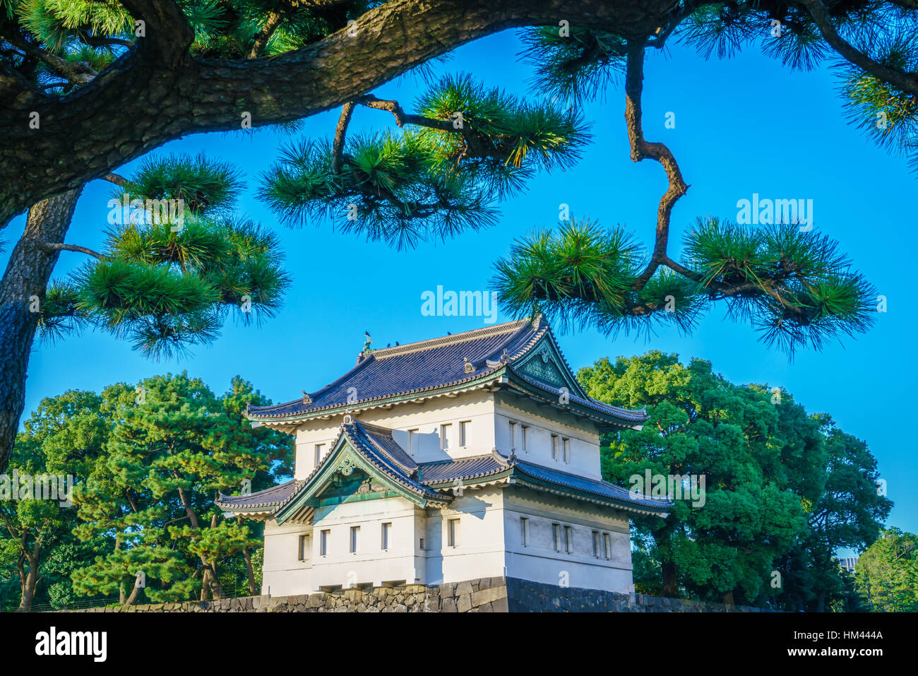 Beautiful Imperial Palace in Tokyo, japan Stock Photo - Alamy