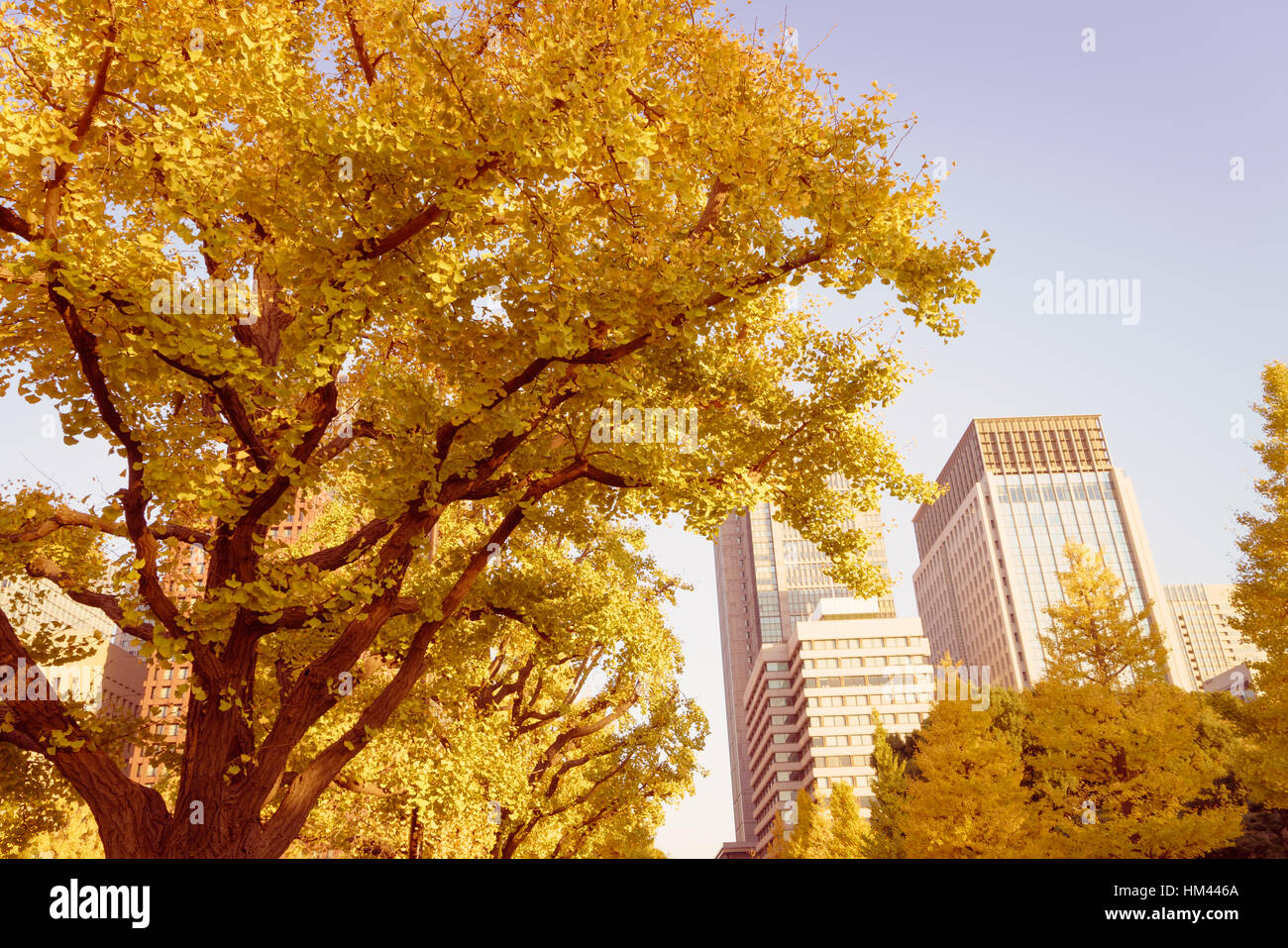 Tokyo, Japan cityscape ( Filtered image processed vintage effect Stock ...