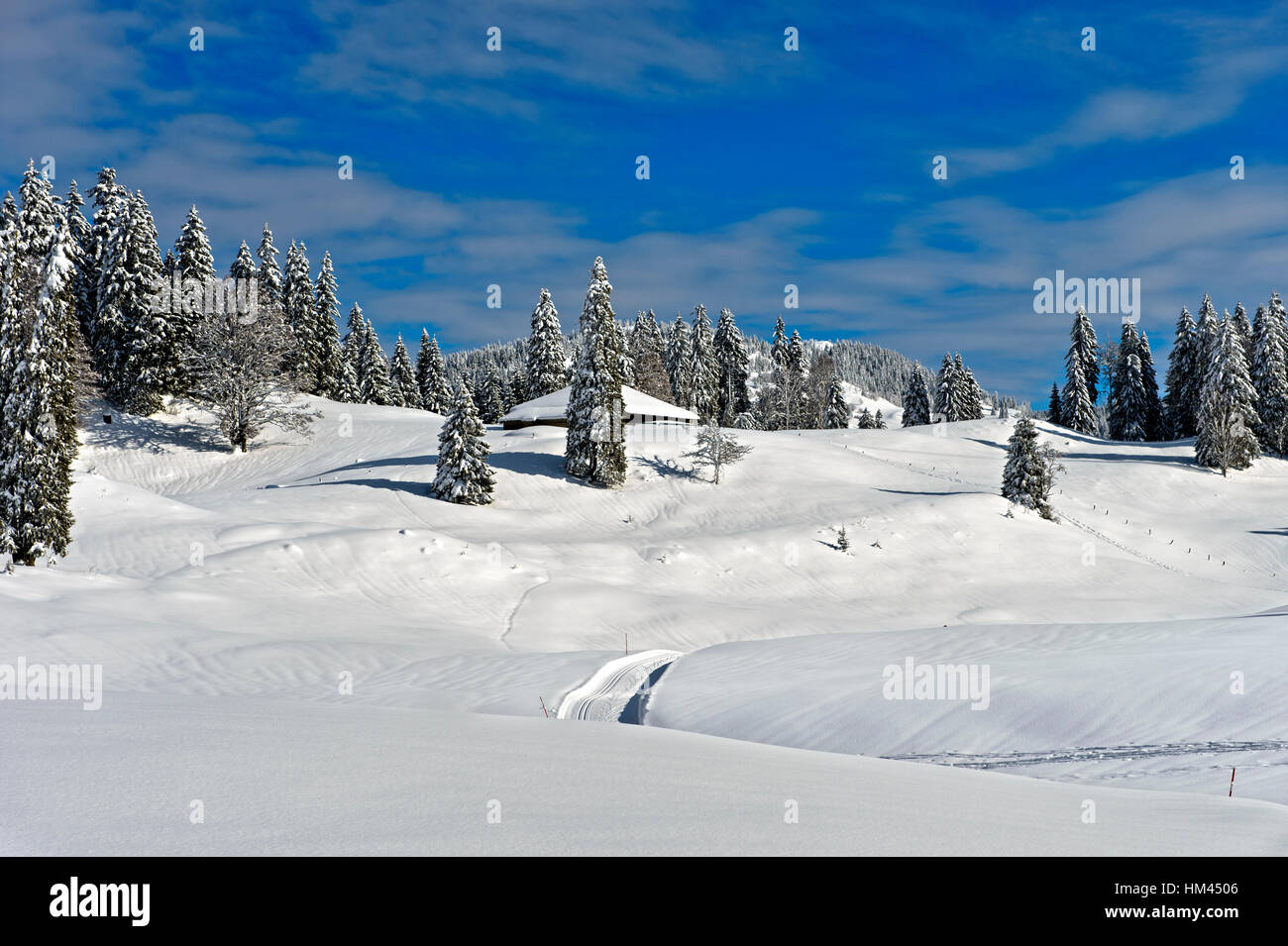 Cross-country skiing run of the Trans-Jura Swiss long-distance ski ...