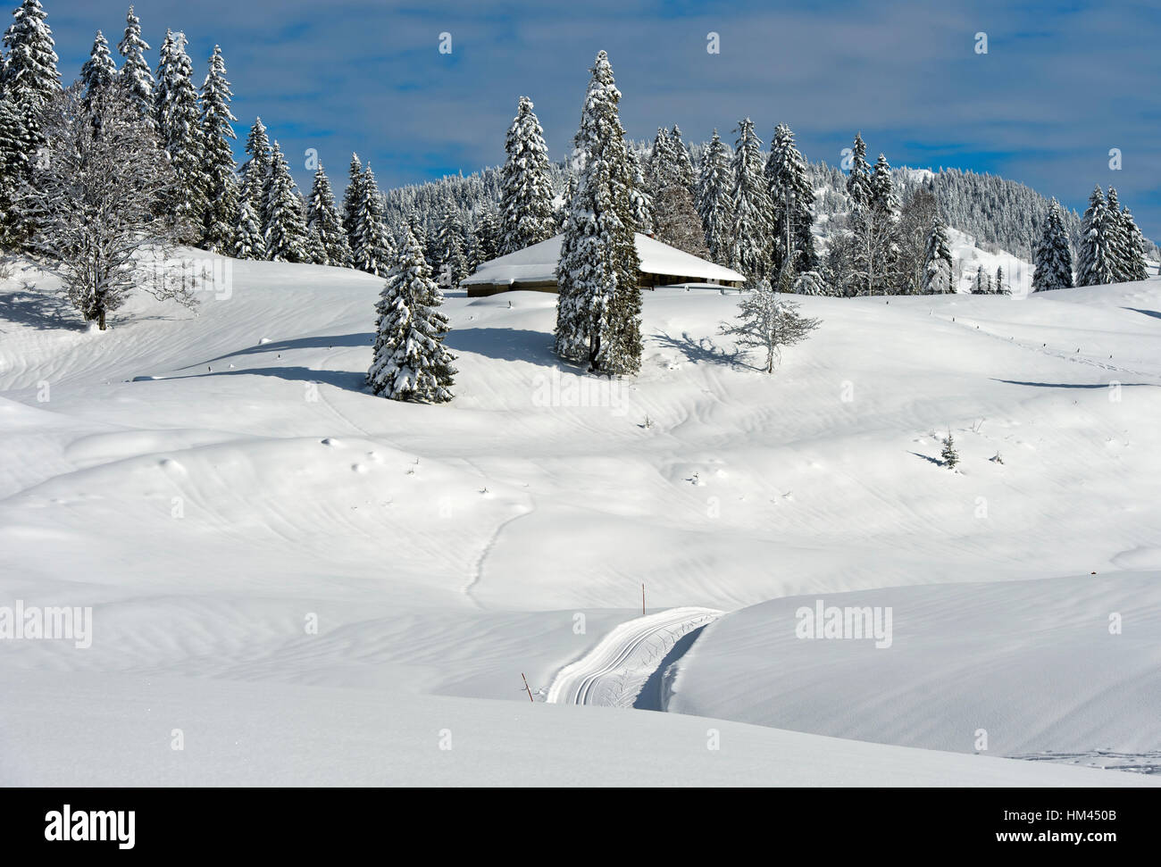 Cross-country skiing run of the Trans-Jura Swiss long-distance ski ...