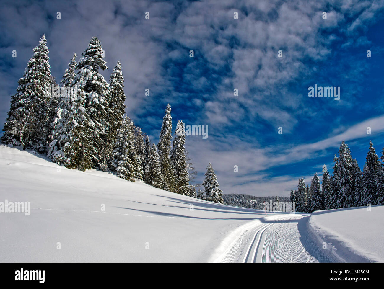 Cross-country skiing run of the Trans-Jura Swiss long-distance ski ...