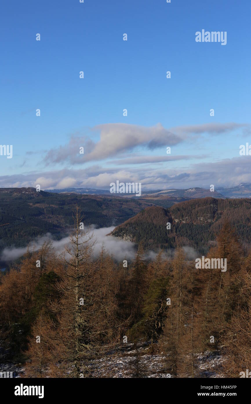 Birnam Woods High Resolution Stock Photography and Images - Alamy
