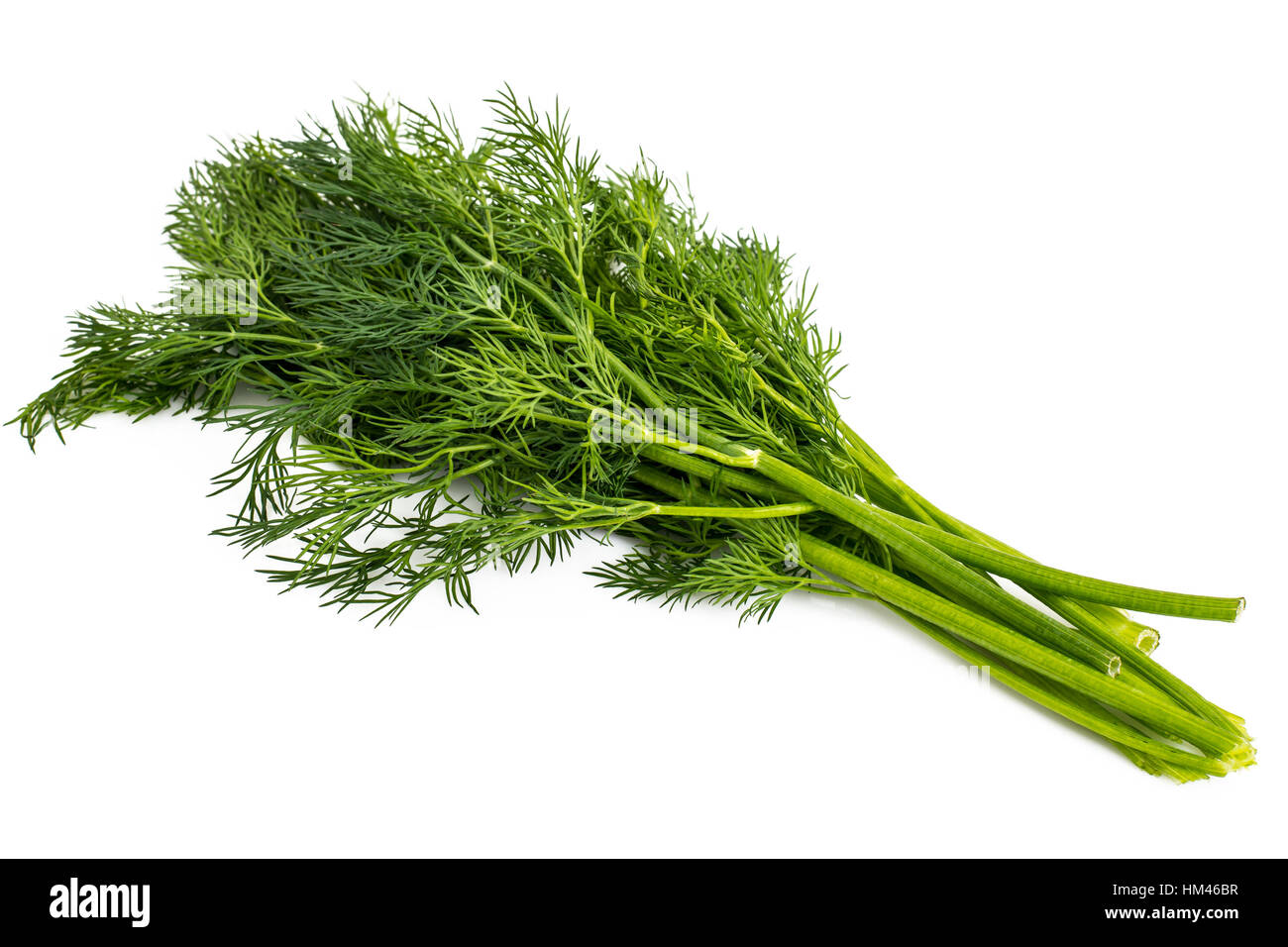 Dry seeds and green sprigs of dill on a white background Stock Photo ...
