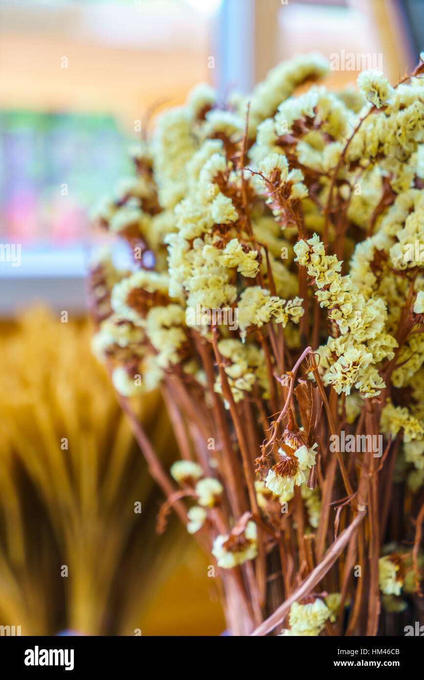Bunch of beautiful grass flowers Stock Photo - Alamy