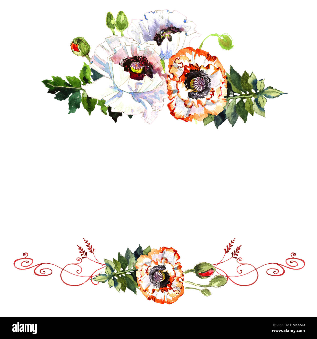 Wildflower poppy flower frame in a watercolor style isolated Stock ...