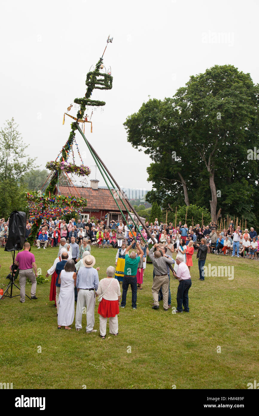 MIDSUMMER CELEBRATION when the Maypole is raised by the celebration ...
