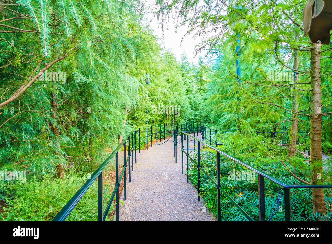 Universal studios japan coaster hi-res stock photography and images - Alamy