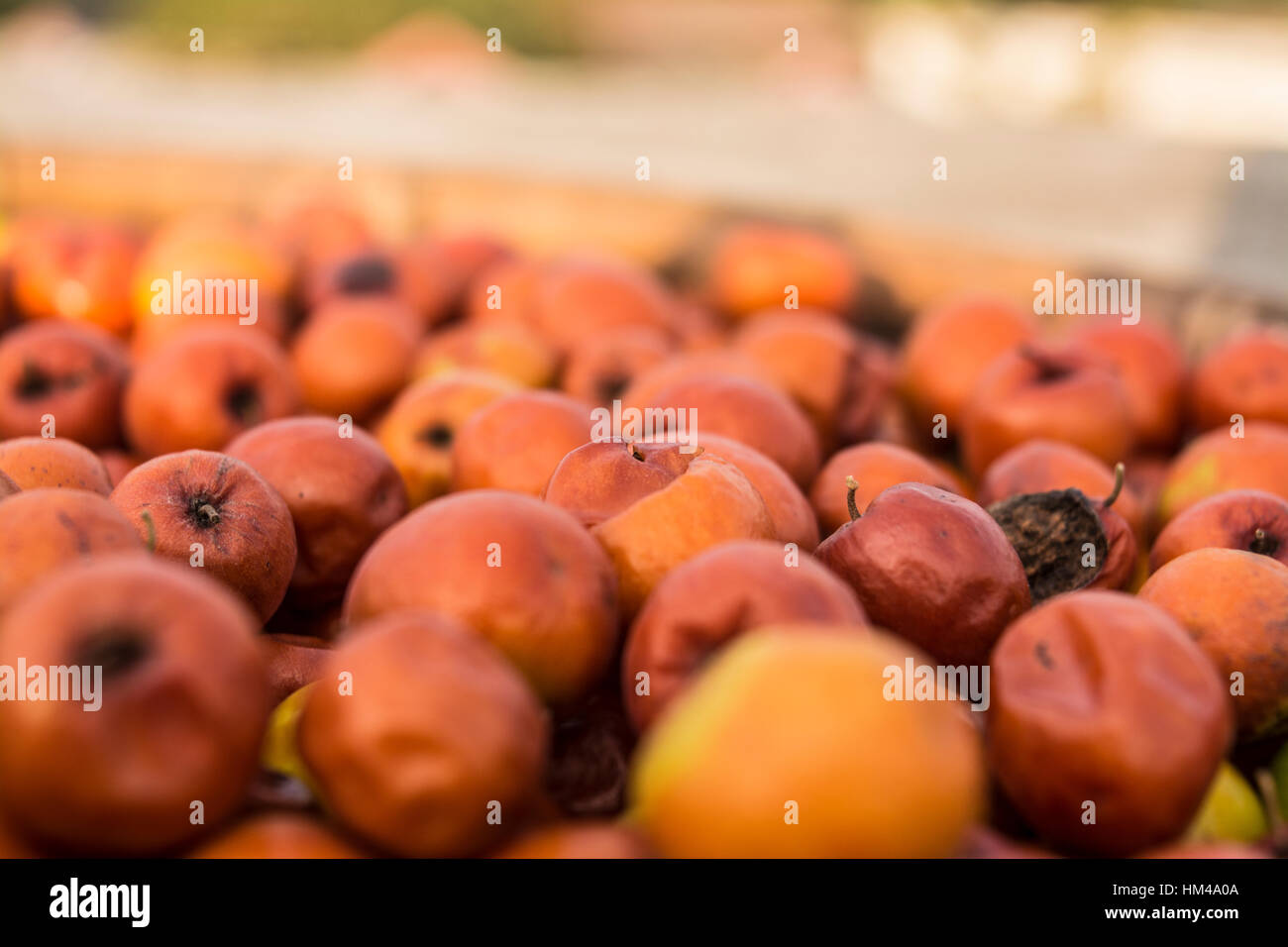 Sour fruits hi-res stock photography and images - Alamy