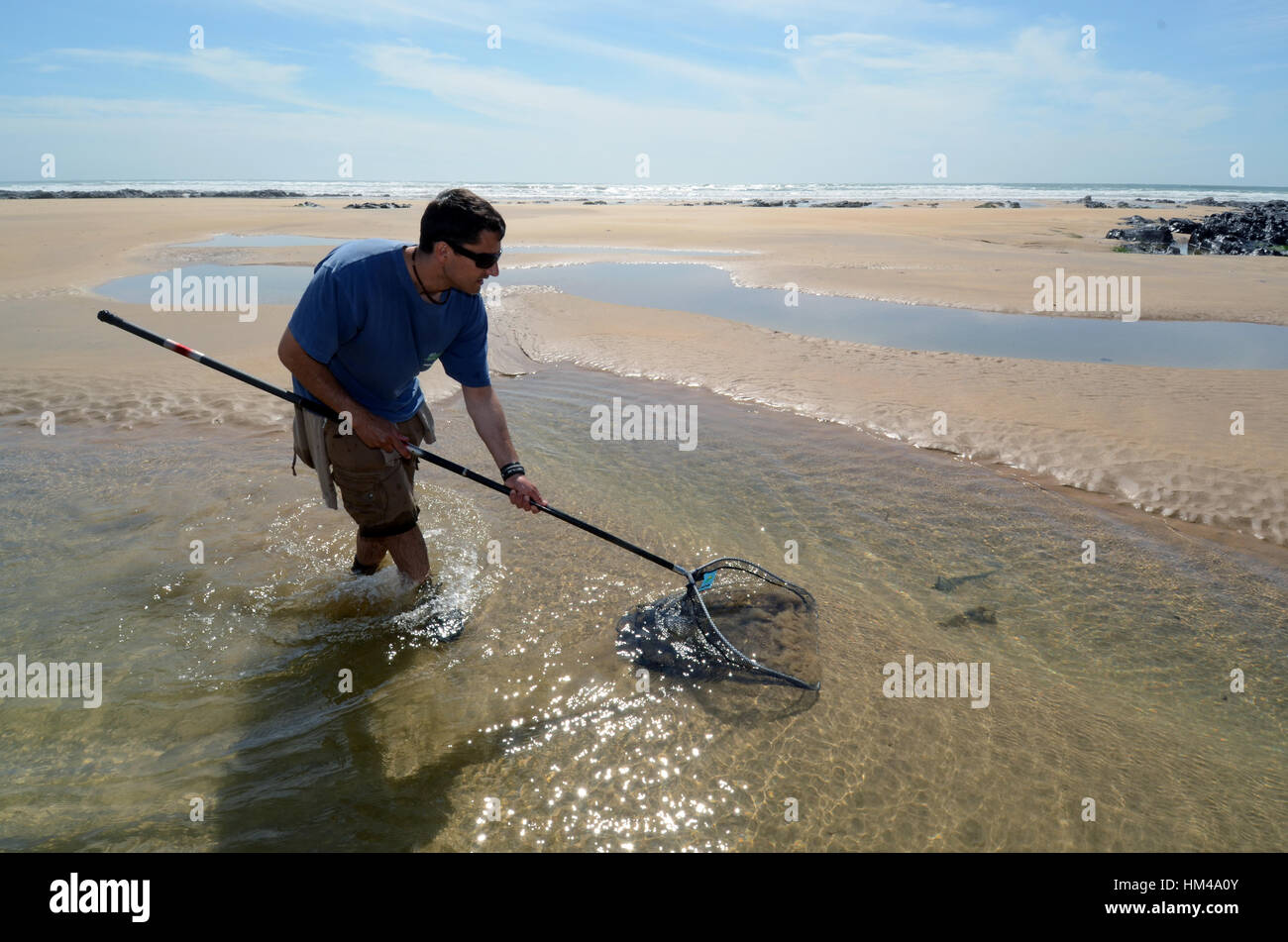 netting for small fish Stock Photo - Alamy