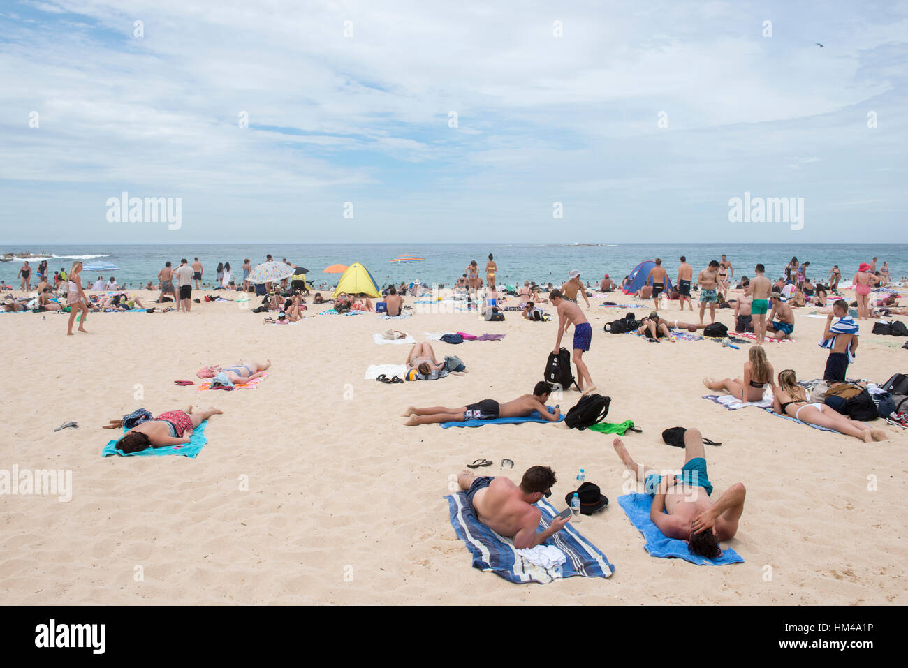 Busy summer sunny day on Coogee Beach, Sydney New South Wales Australia ...