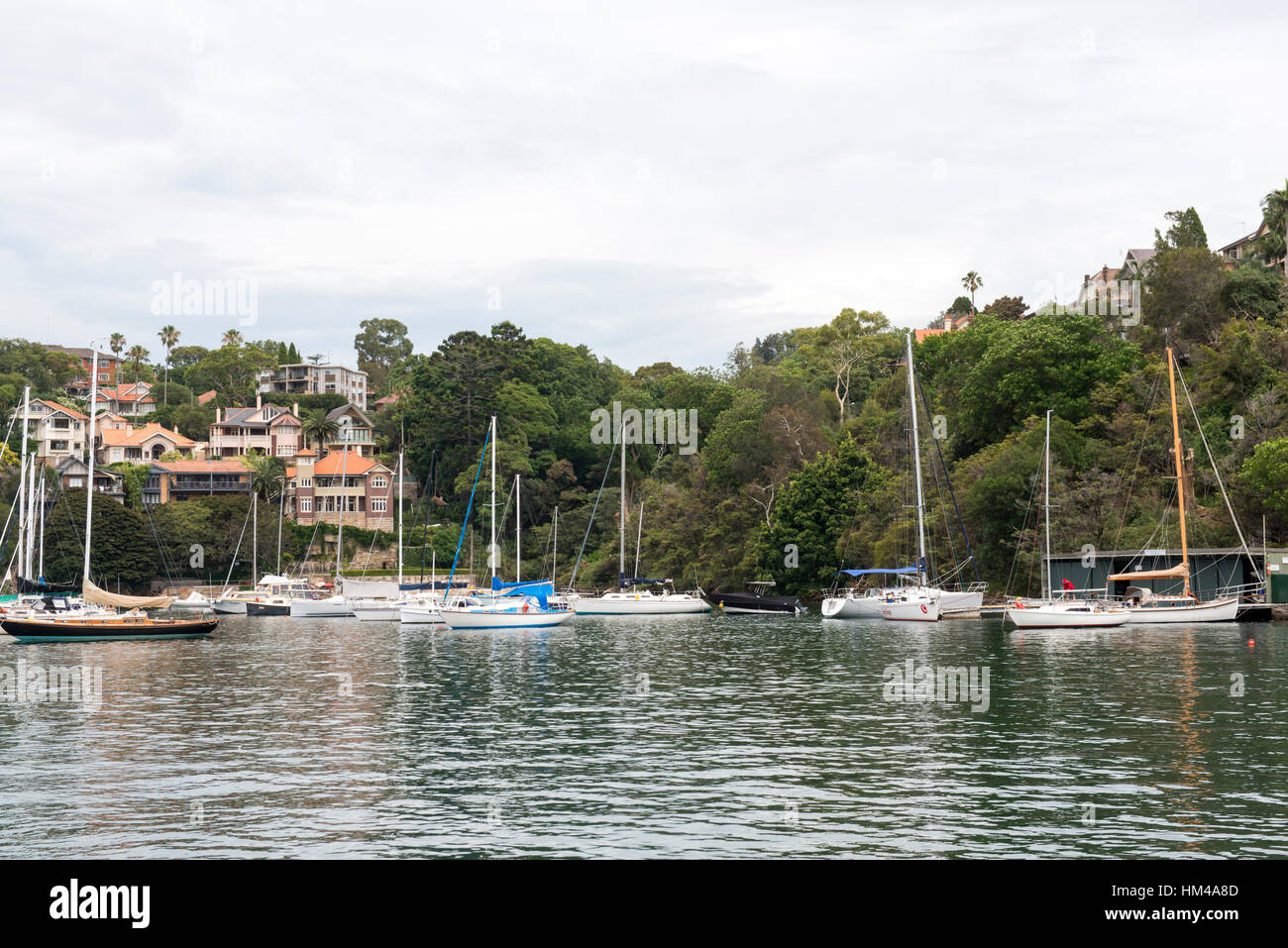 Mosman Bay in the Northern Suburbs from a Mosman to Cicular Quay Ferry ...