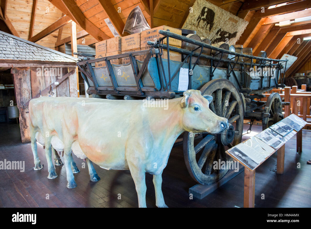 The Bega Cheese Heritage Centre, Bega New South Wales Australia Stock ...