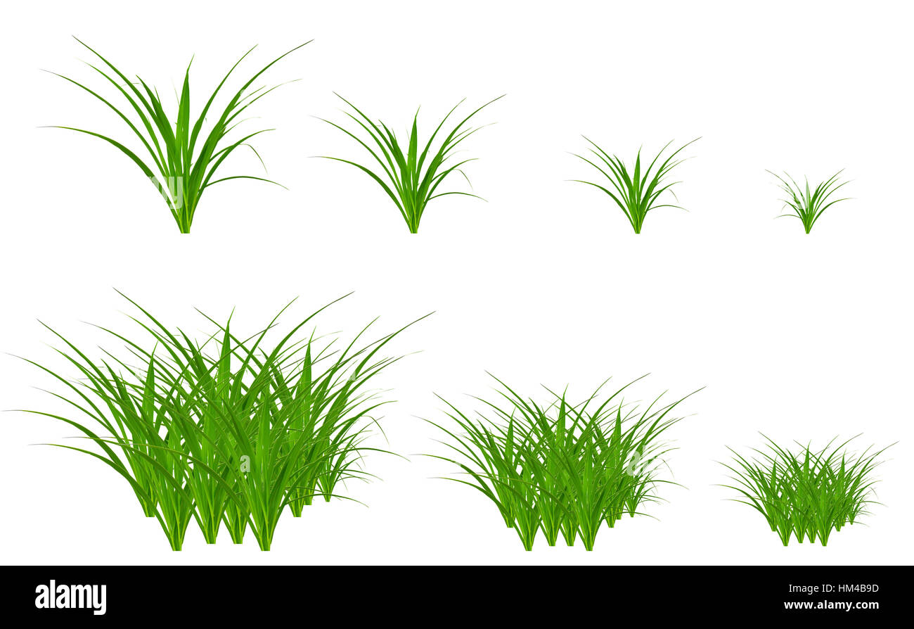 Green grass elements for design and decorate Stock Photo - Alamy